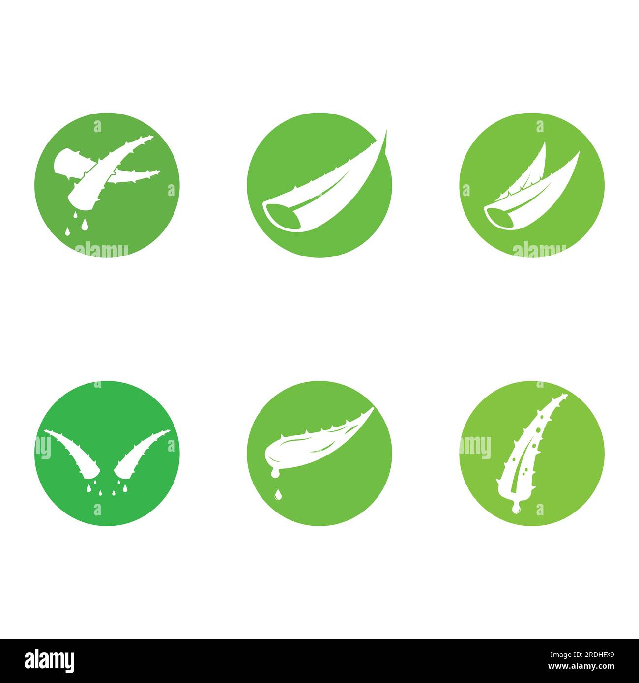Aloe vera icon logo vector illustration Stock Vector Image & Art - Alamy