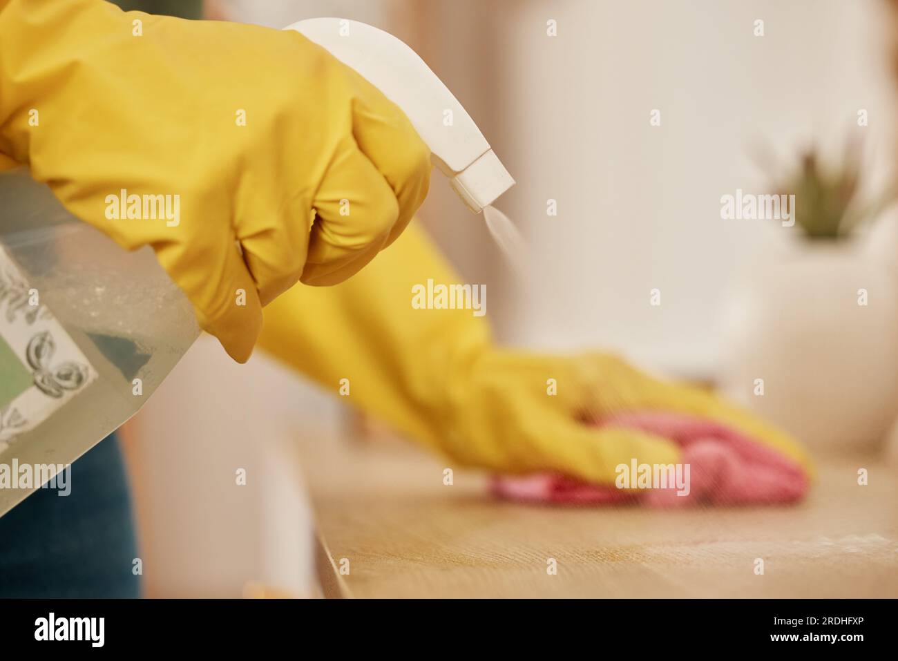 Hand, spray and a woman cleaning a wooden surface in her home for ...