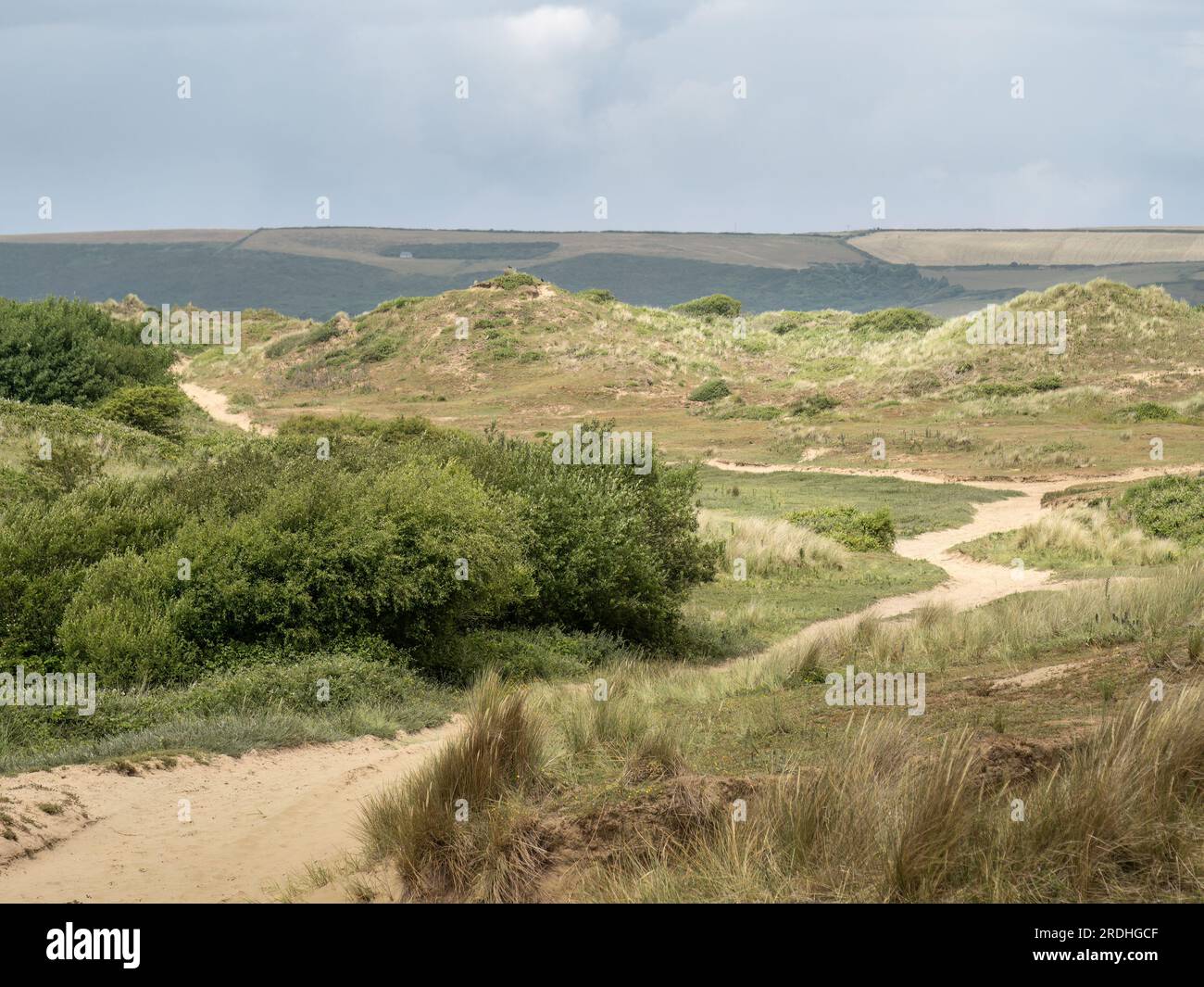 View of Braunton Burrows sand dune landscape, North Devon, UK. SSSI and ...