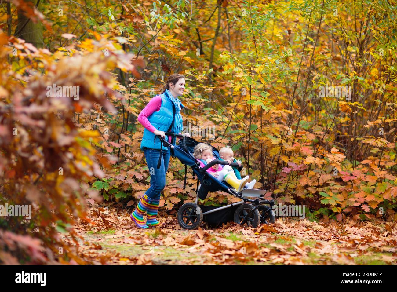 Family hiking with stroller in autumn park. Active mother, baby and ...