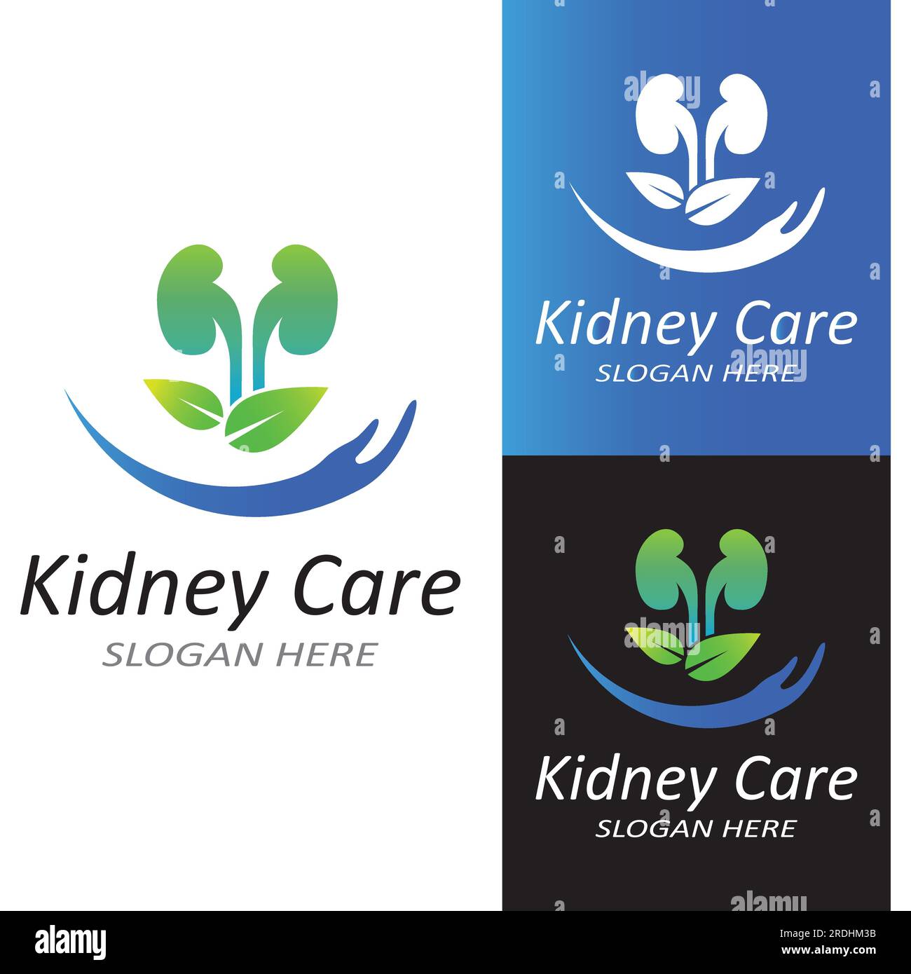 kidney health and kidney care logo using vector concept icon Stock ...