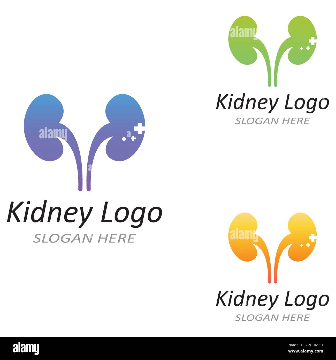 kidney health and kidney care logo using vector concept icon Stock ...