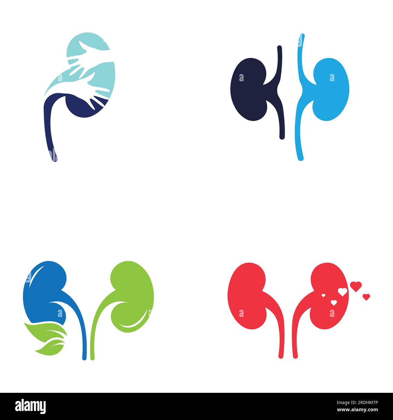 kidney health and kidney care logo using vector concept icon Stock ...