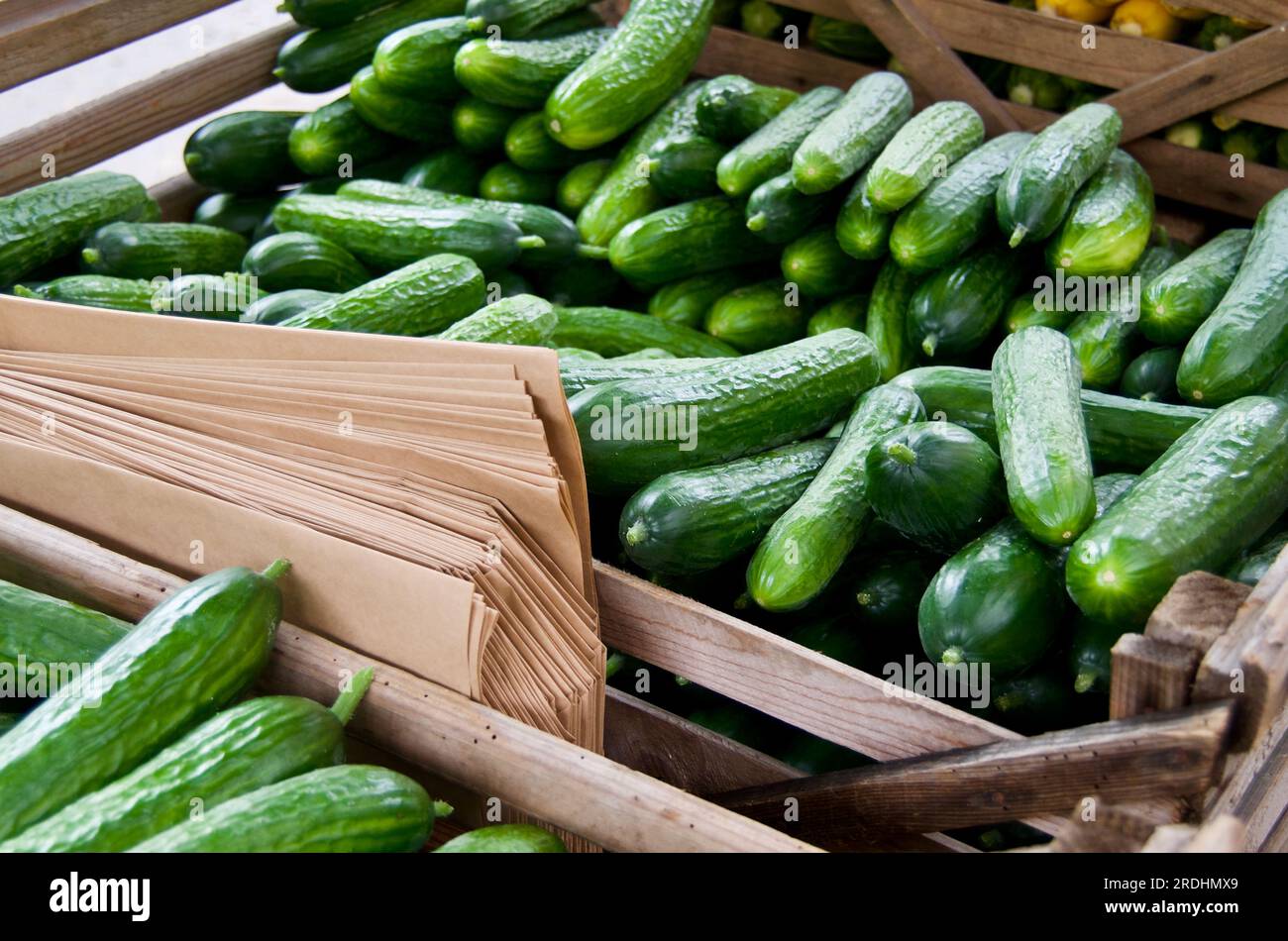 Fresh green cucumbers in wooden boxes for sale at farmers market Stock ...