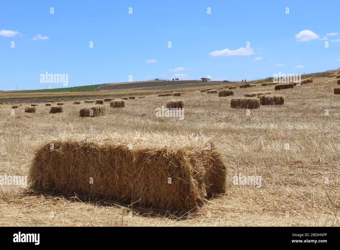 Harvest time round hay hi-res stock photography and images - Alamy