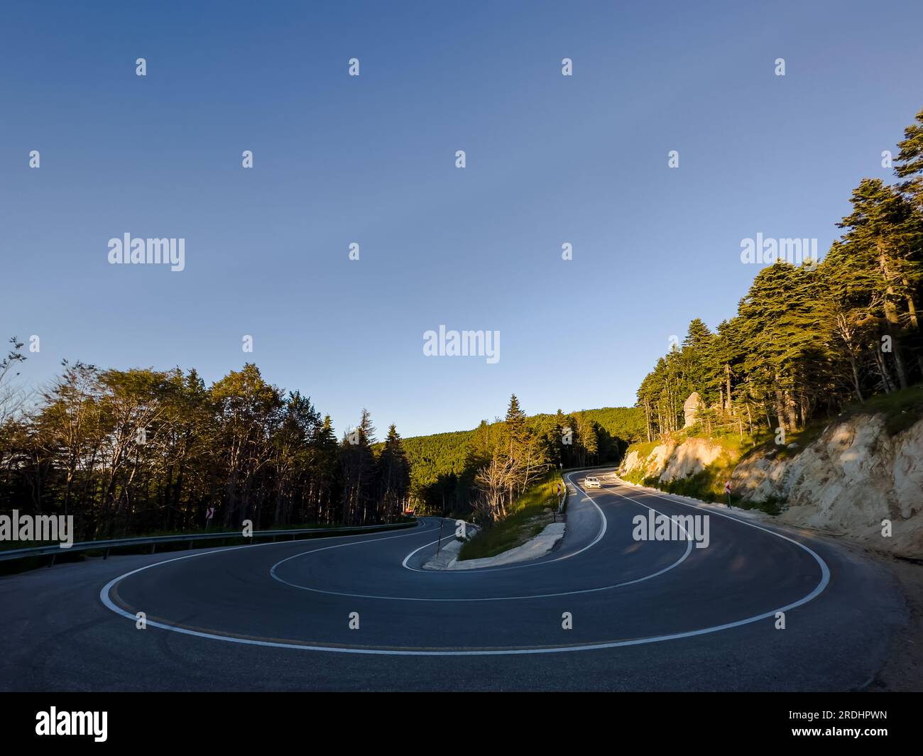 tree-lined uludag road with dangerous bends ,meandering highway through ...