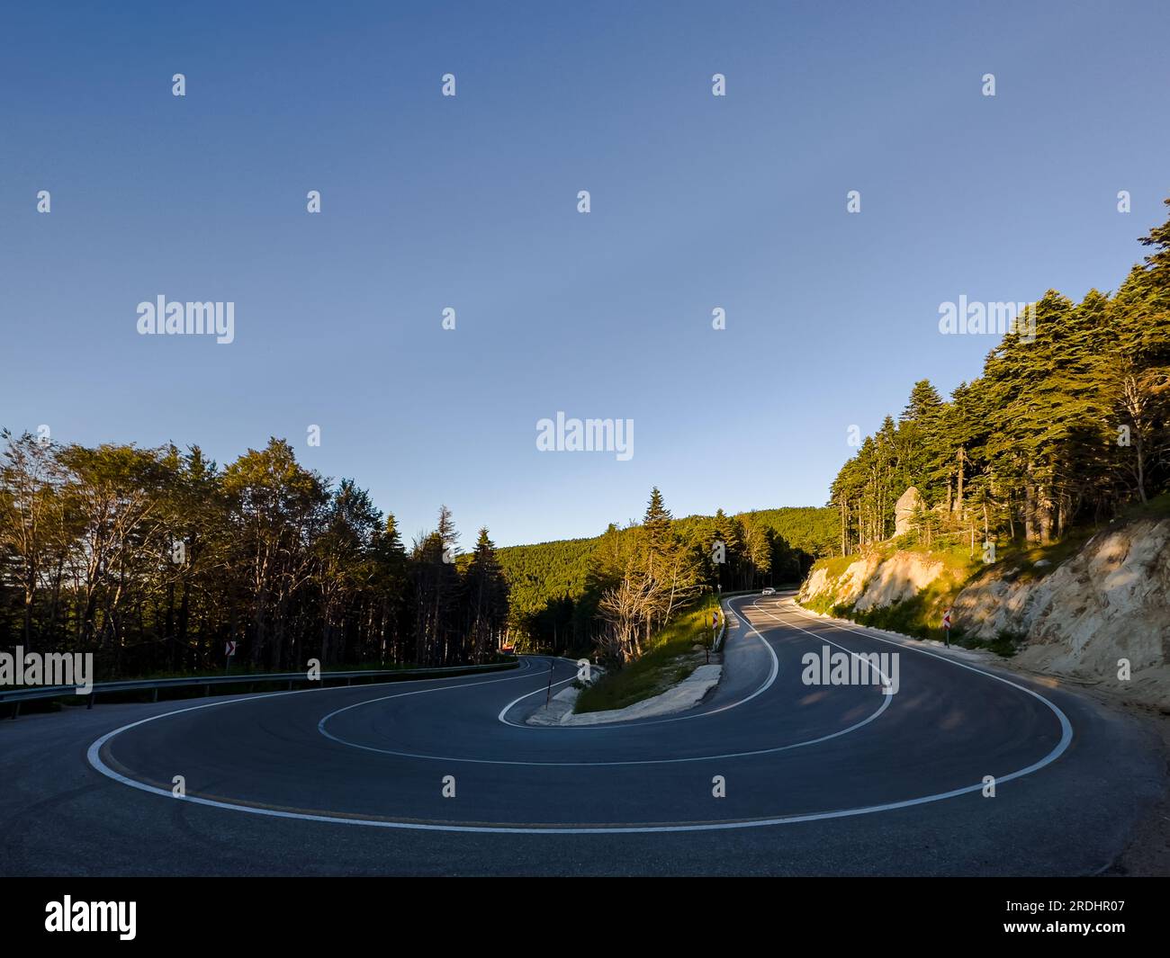 tree-lined uludag road with dangerous bends ,meandering highway through ...