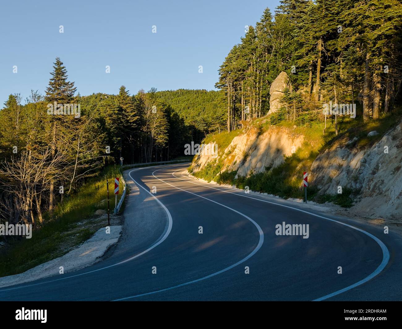 tree-lined uludag road with dangerous bends ,meandering highway through ...