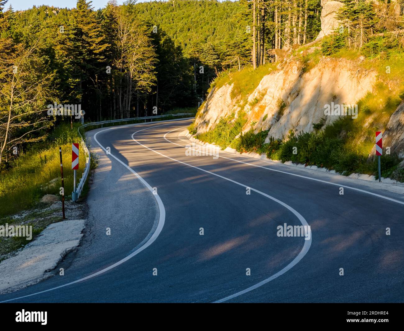 tree-lined uludag road with dangerous bends ,meandering highway through ...