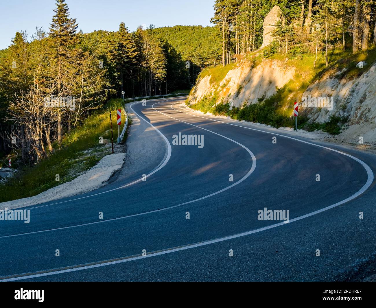 tree-lined uludag road with dangerous bends ,meandering highway through ...