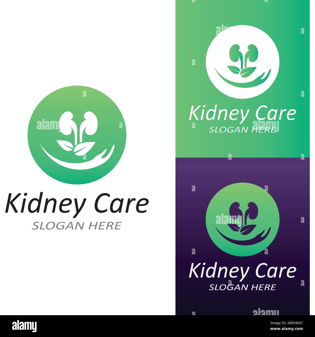 Kidney logo hi-res stock photography and images - Alamy