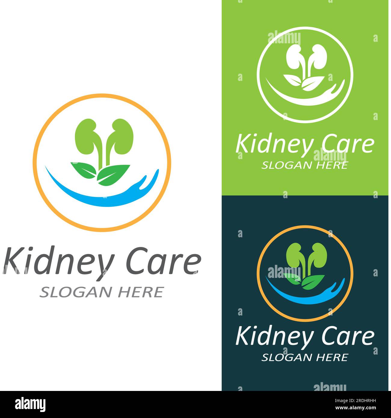 kidney health and kidney care logo using vector concept icon Stock ...