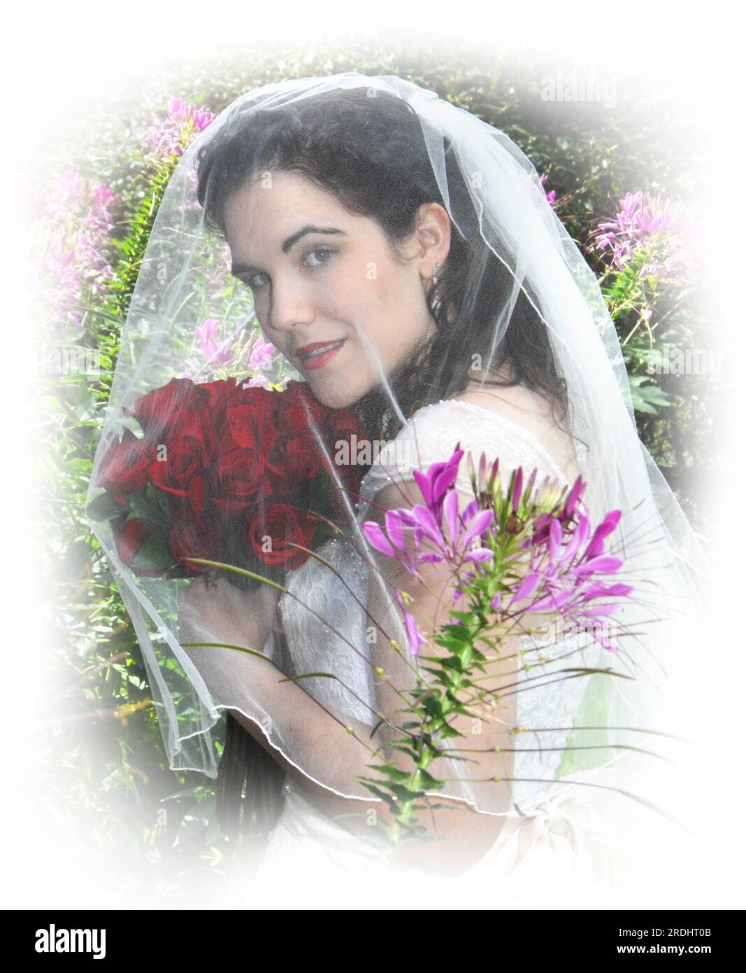 Soft white surrounds dreaming, young bride as she looks up from beneath ...