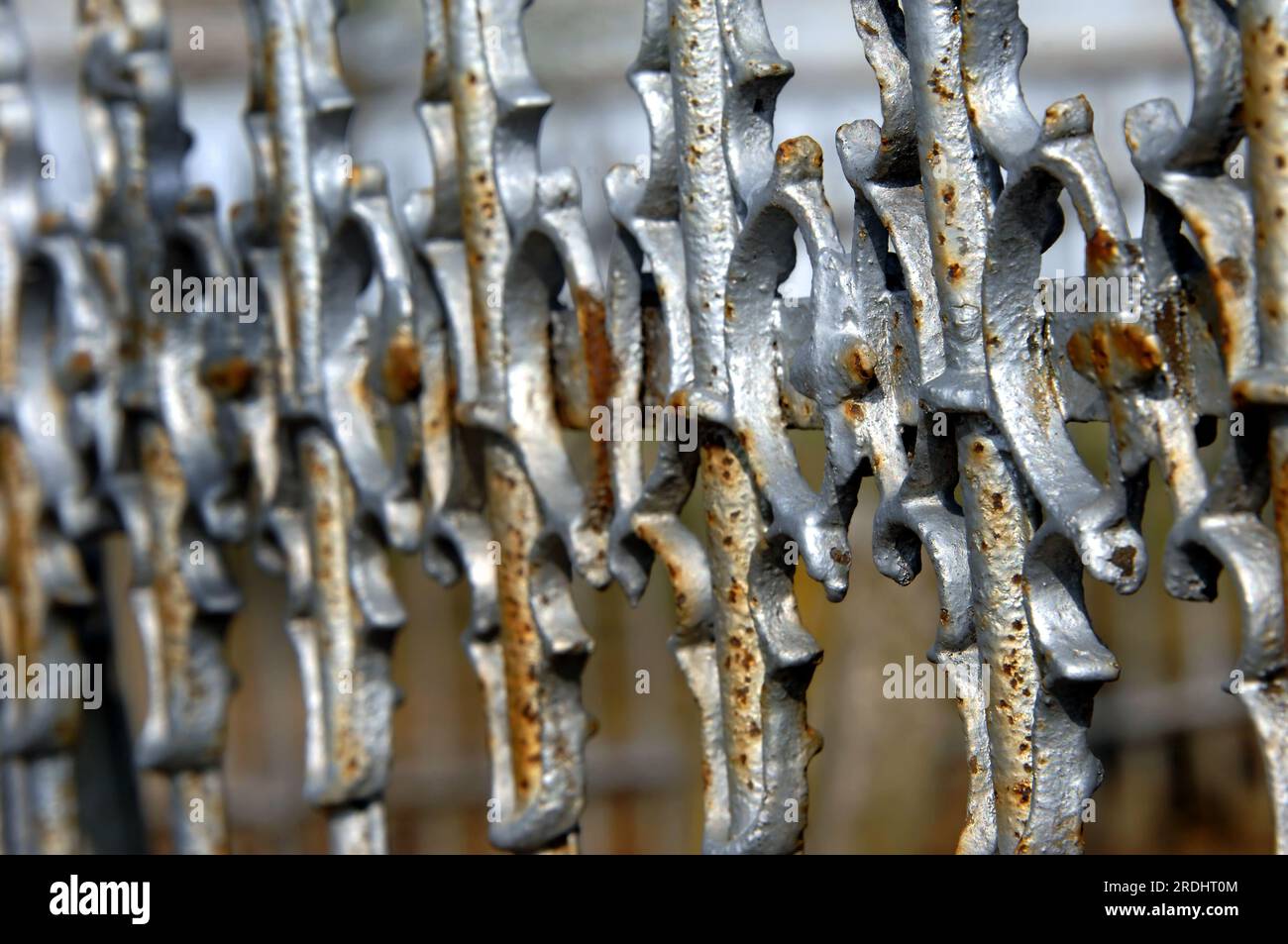Antique iron fence is rusty and weathered. Silver paint has chipped and ...