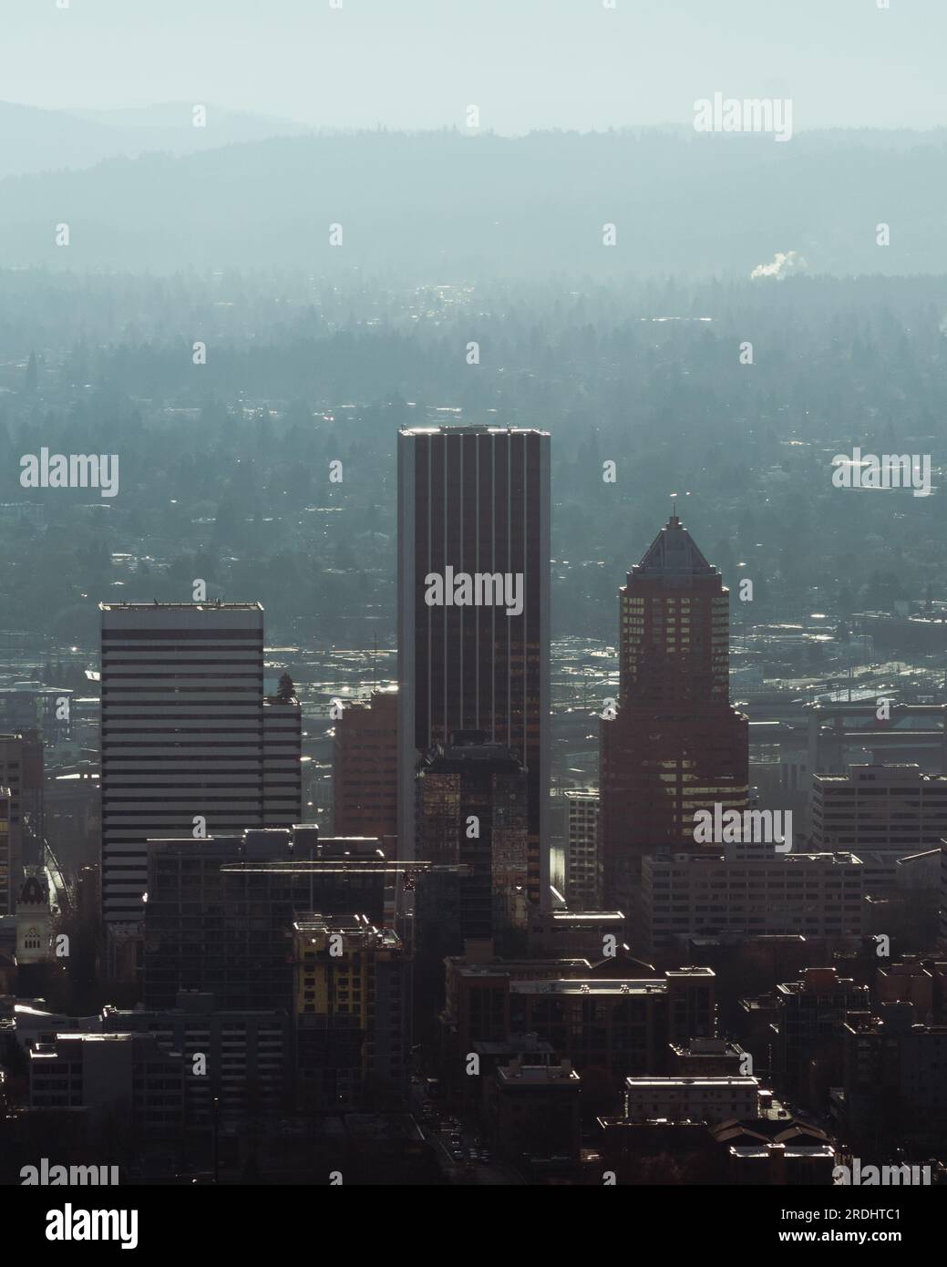 Downtown buildings in morning light Portland, Oregon, USA Stock Photo ...
