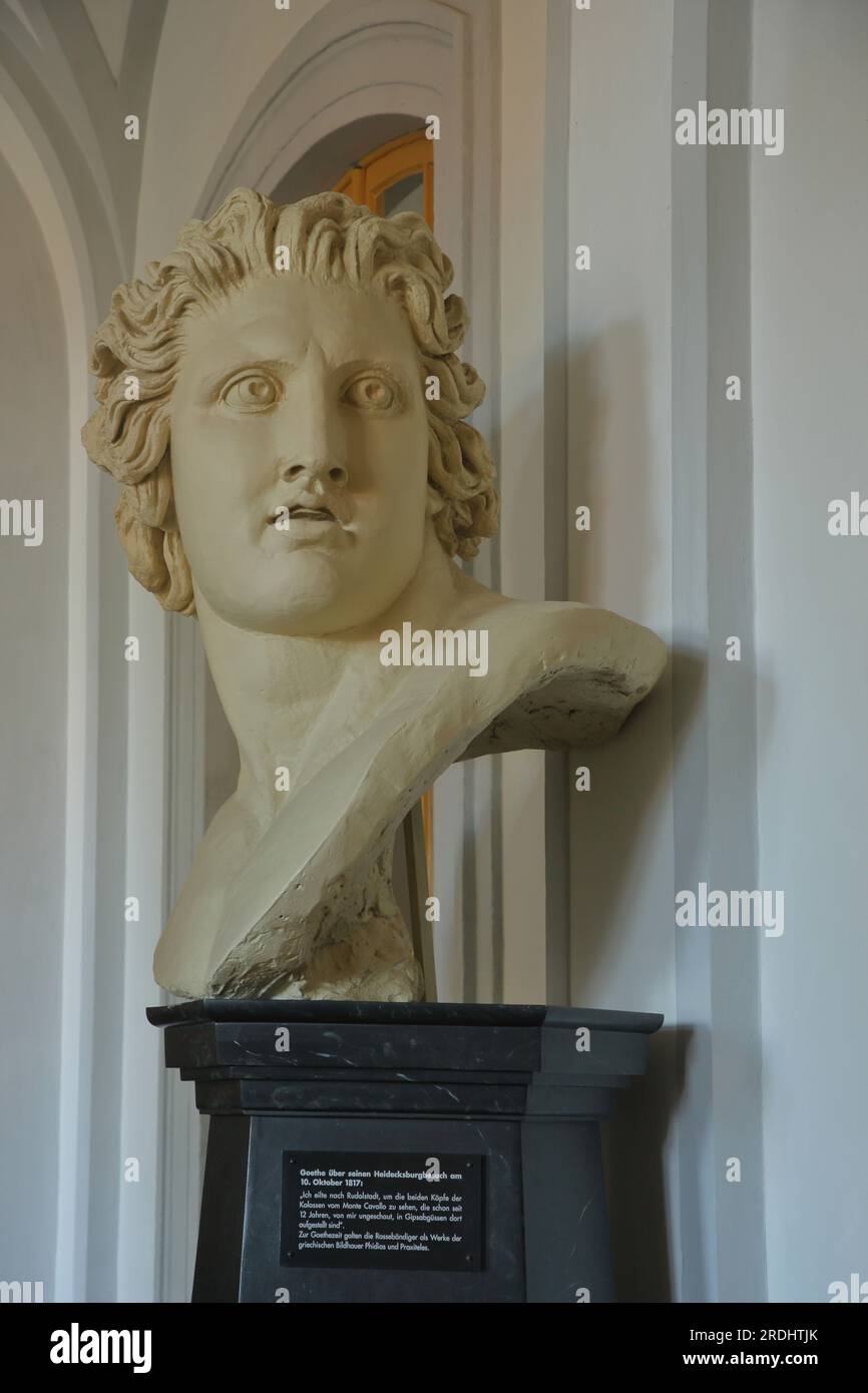 Head of the colossal statue of Dioscuri called the Horse Tamers from ...