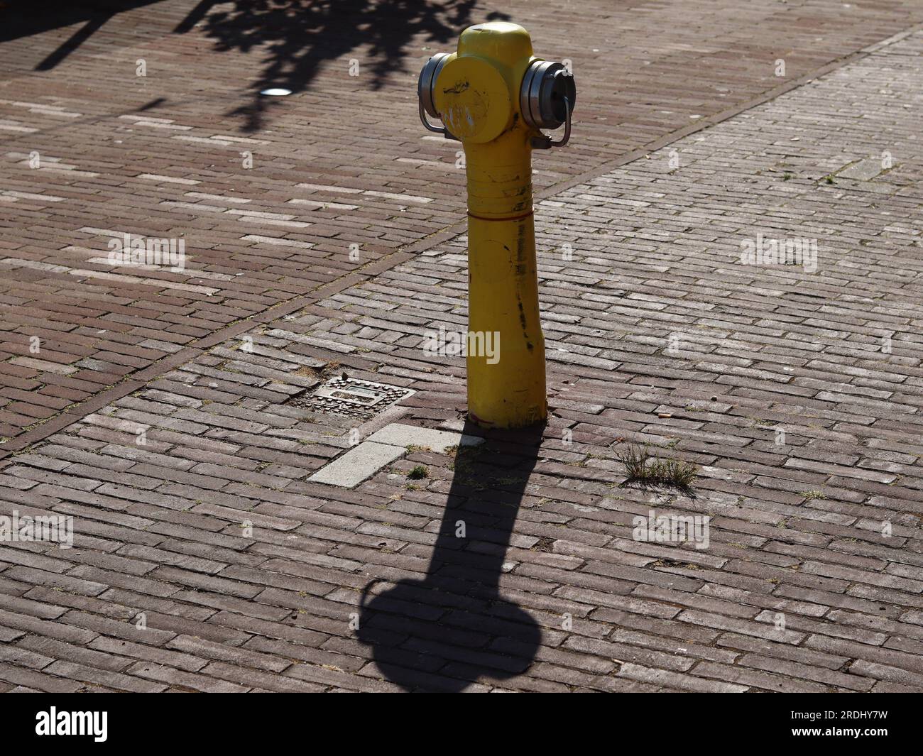 Yellow Fire Hydrant in Nijmegen, The Netherlands Stock Photo - Alamy