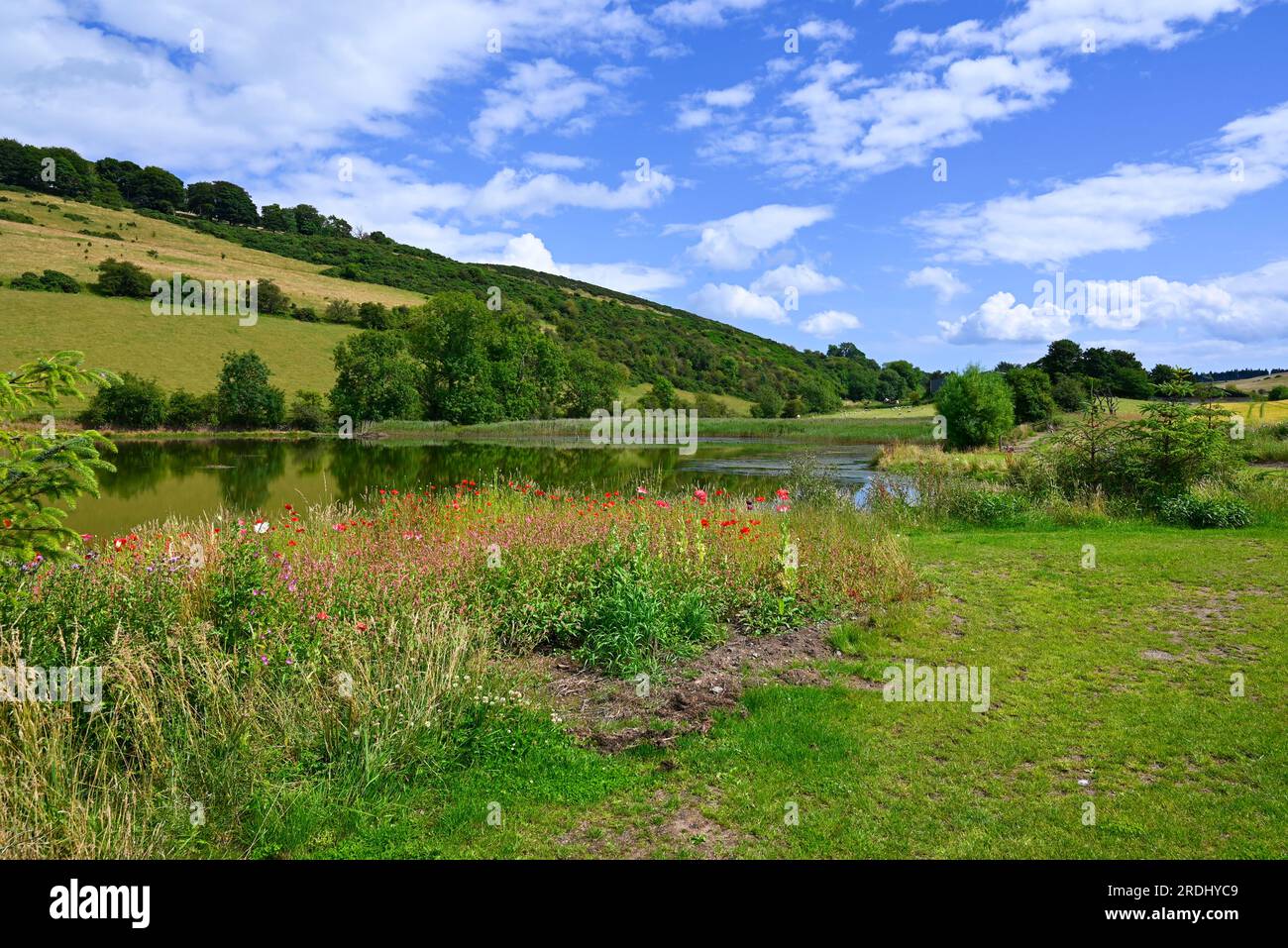 Golden loch fishery hi-res stock photography and images - Alamy
