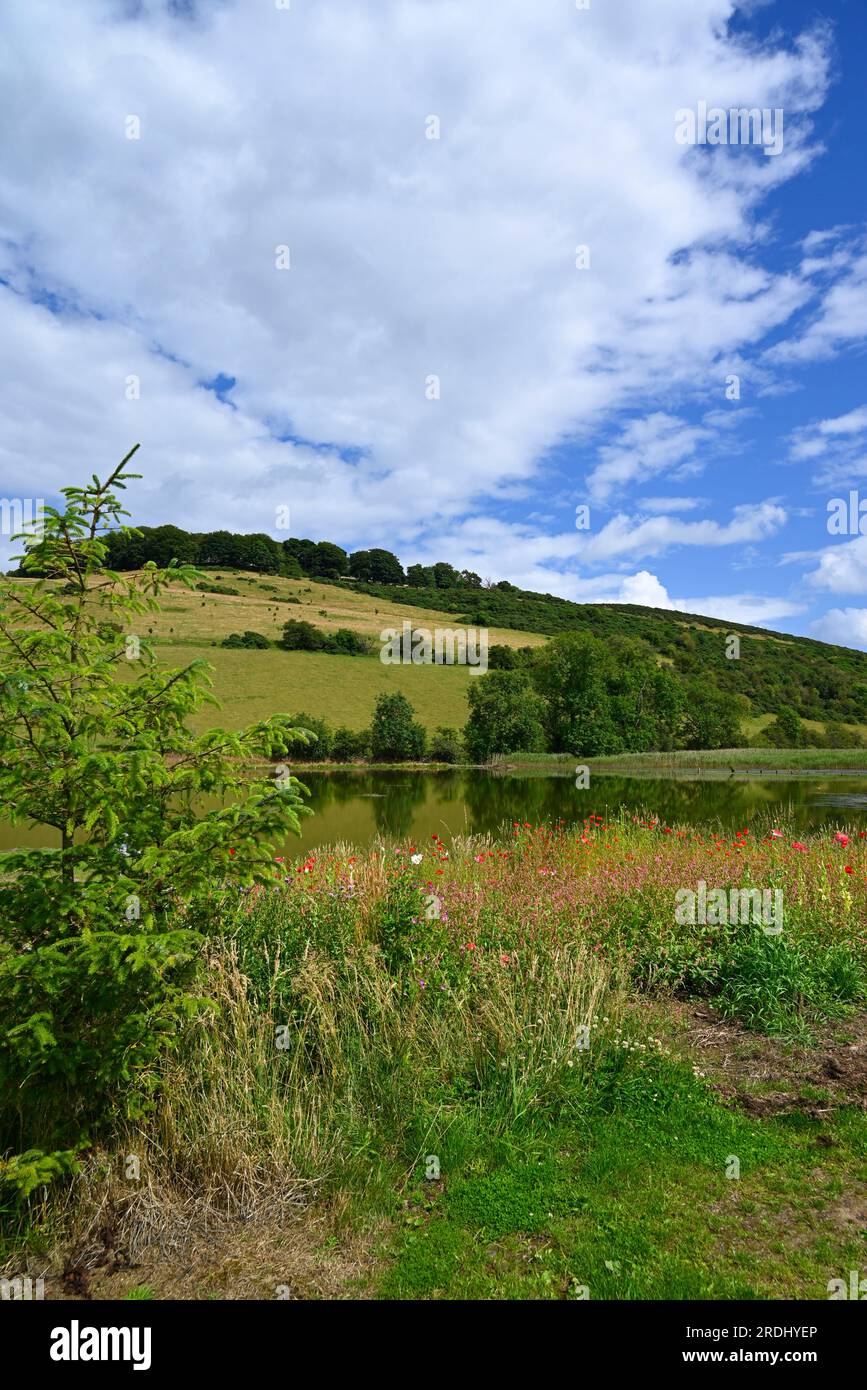 Goldenloch fishing hi-res stock photography and images - Alamy