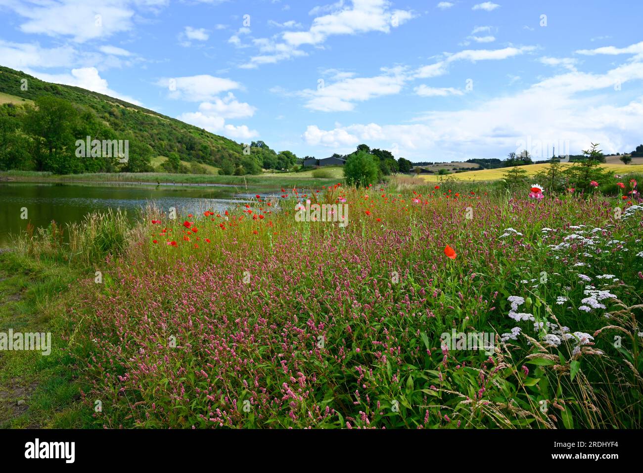 Goldenloch fishing hi-res stock photography and images - Alamy