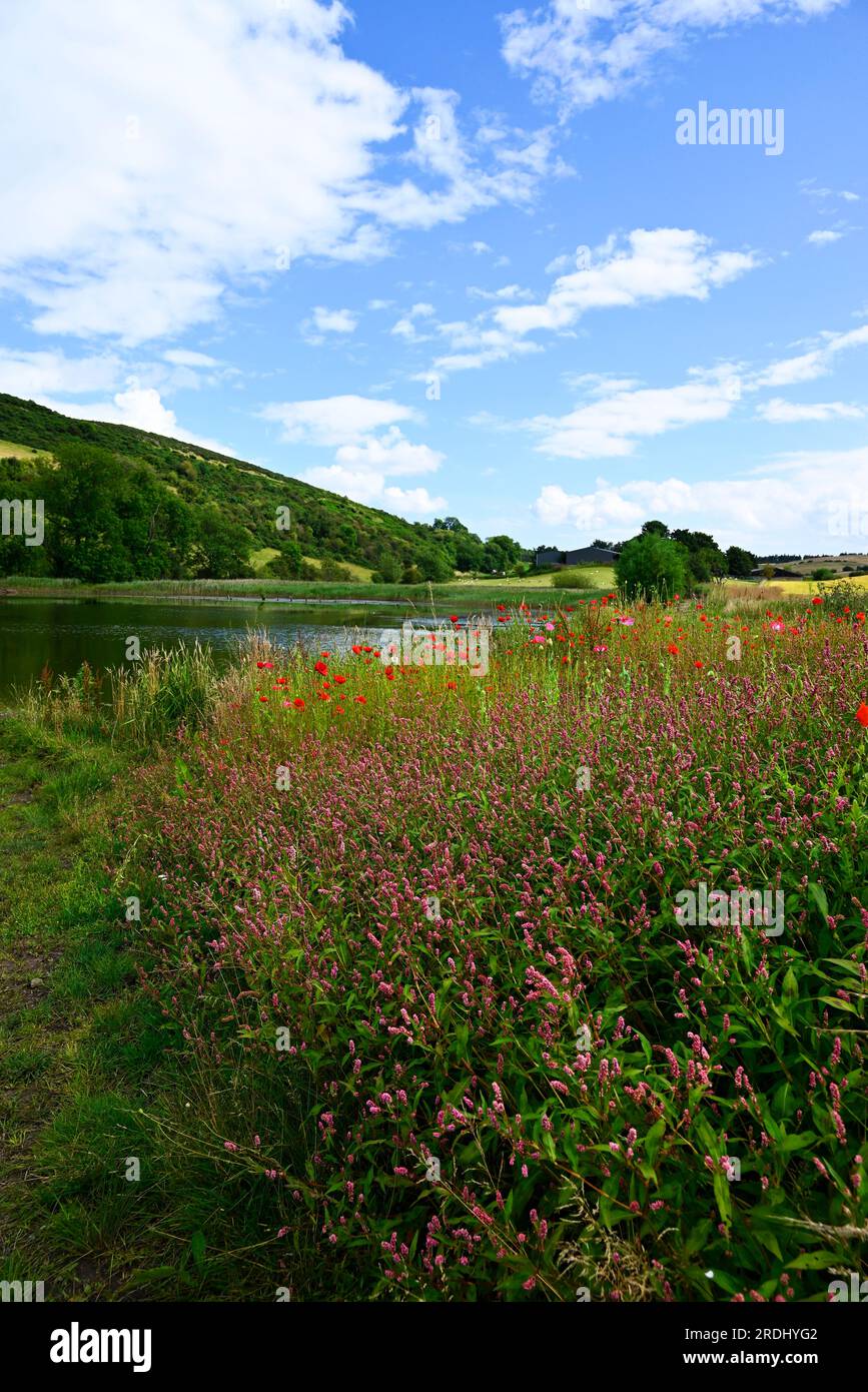 Goldenloch fishing hi-res stock photography and images - Alamy