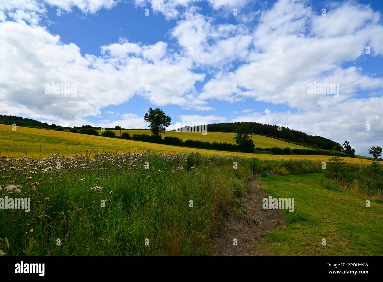 Goldenloch fishing hi-res stock photography and images - Alamy