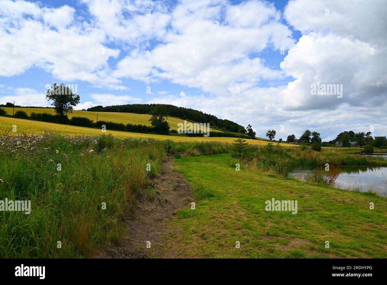 Goldenloch fishing hi-res stock photography and images - Alamy