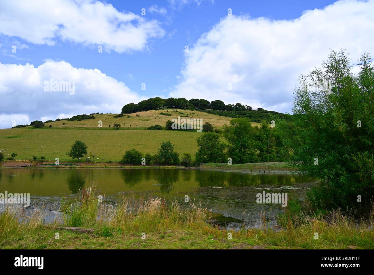 Goldenloch fishing hi-res stock photography and images - Alamy
