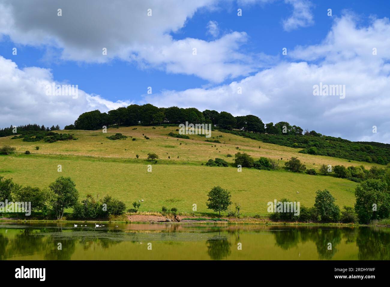 Goldenloch fishing hi-res stock photography and images - Alamy