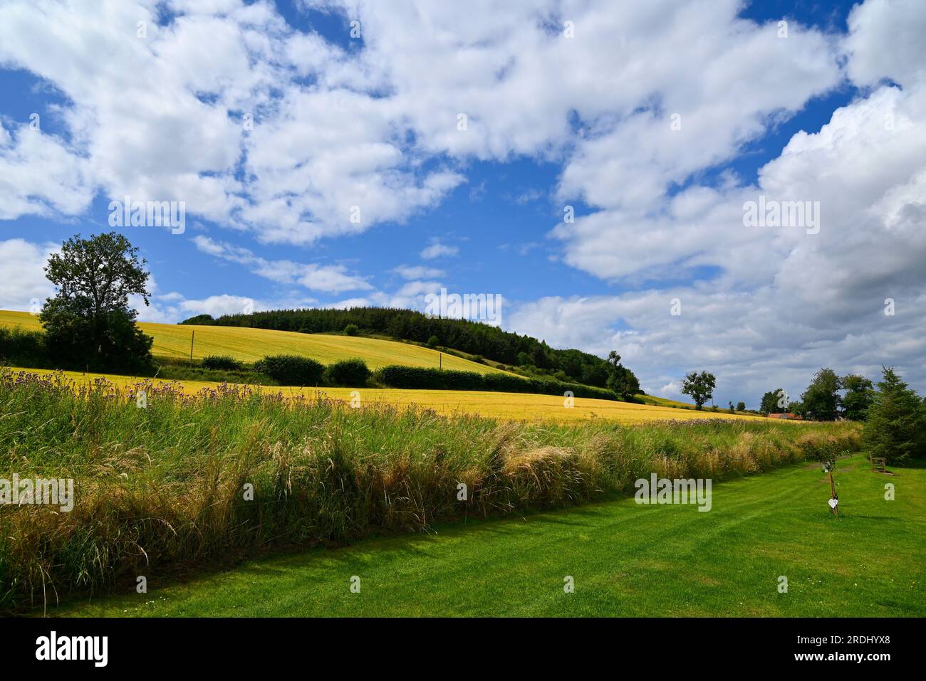 Goldenloch fishing hi-res stock photography and images - Alamy