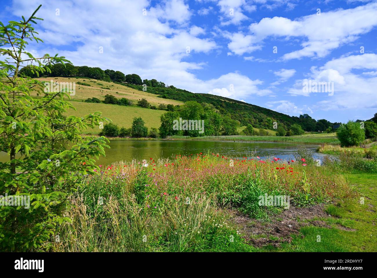 Goldenloch fishing hi-res stock photography and images - Alamy