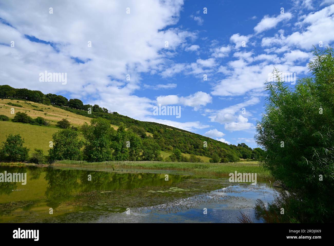 Goldenloch fishing hi-res stock photography and images - Alamy
