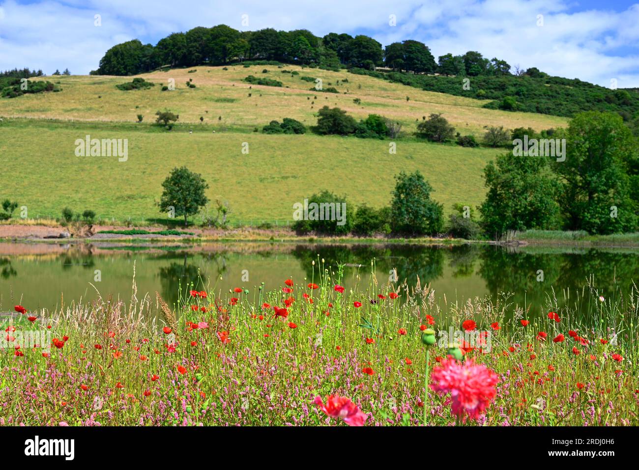 Goldenloch fishing hi-res stock photography and images - Alamy