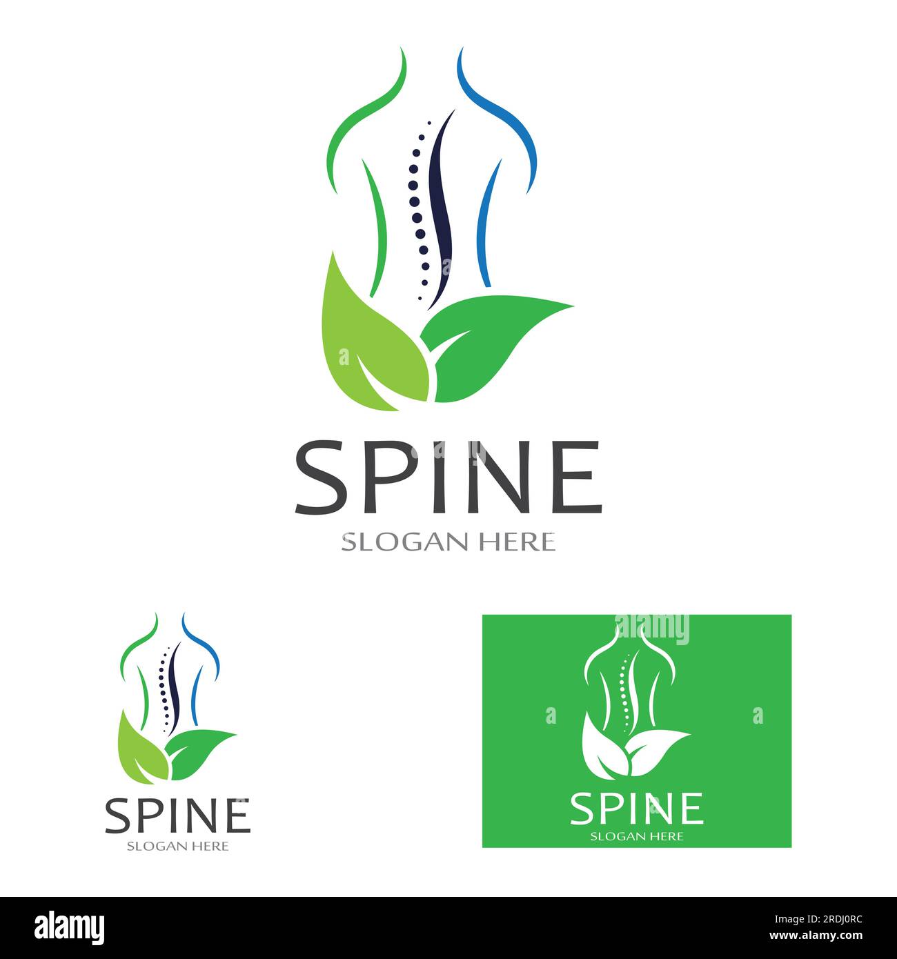 Spinal diagnostics, spine care and spine health.With modern vector icon ...