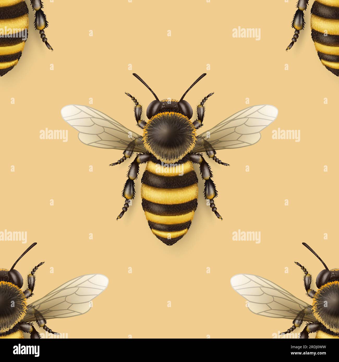 Vector Seamless Pattern with 3d Realistic Detailed Honey Bee Icon ...