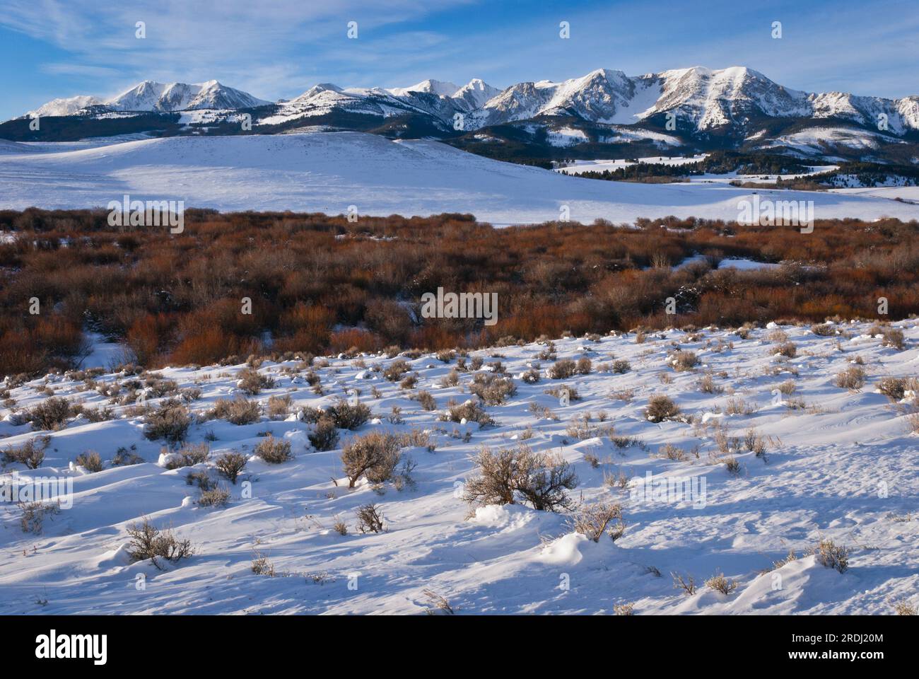 Sage brush and the Bridger Mountain Range in winter, Shields River ...