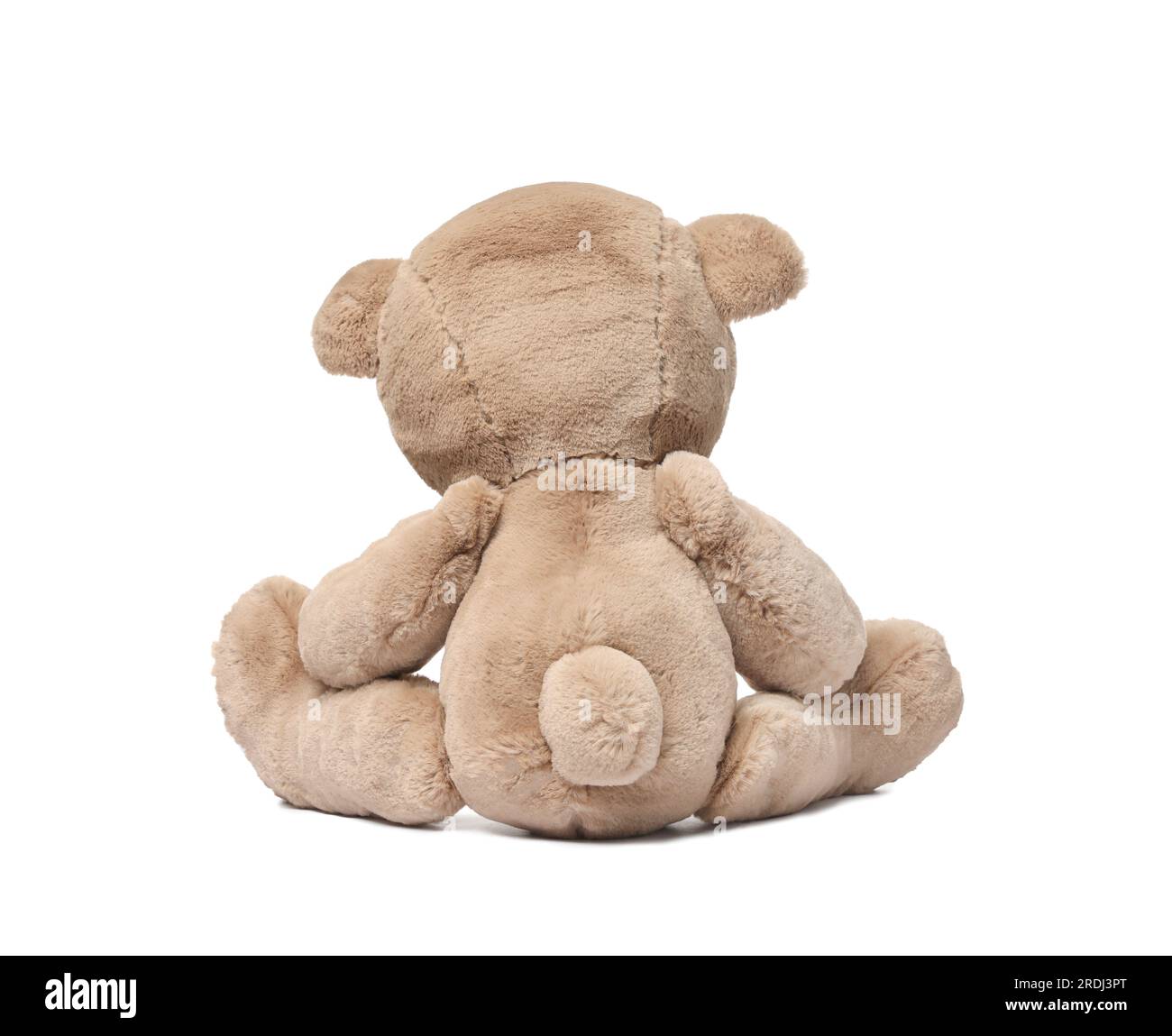 Cute teddy bear isolated on white, back view Stock Photo - Alamy