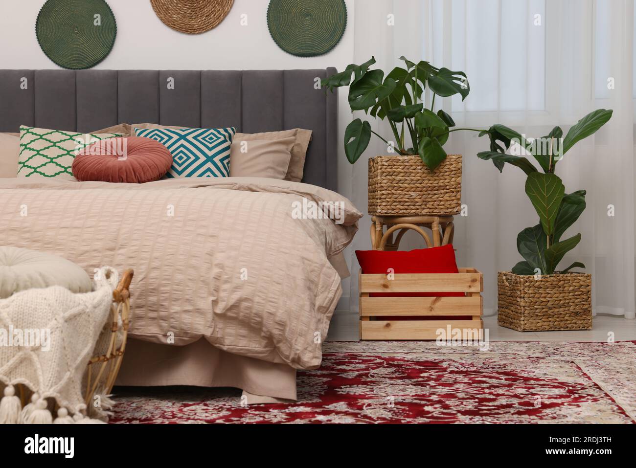 Large comfortable bed and potted houseplants in stylish bedroom ...