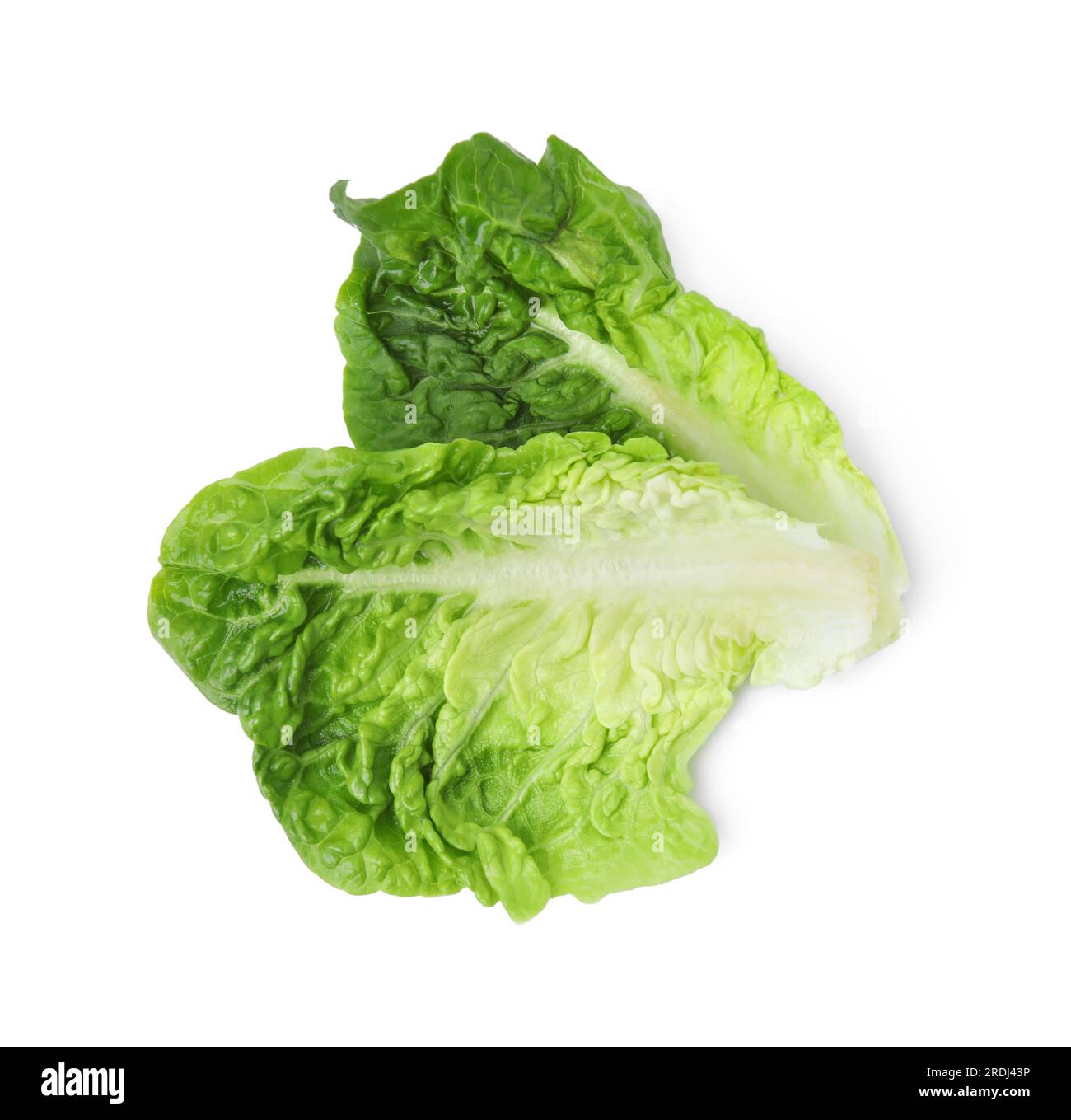 Fresh leaves of green romaine lettuce isolated on white, top view Stock Photo - Alamy
