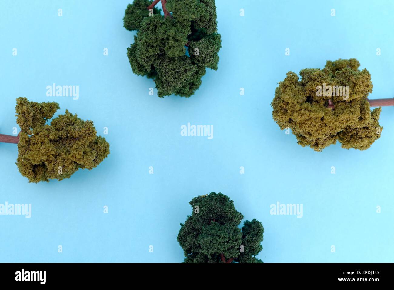 Artificial tree to scale on a blue background. Isolated tree Stock ...