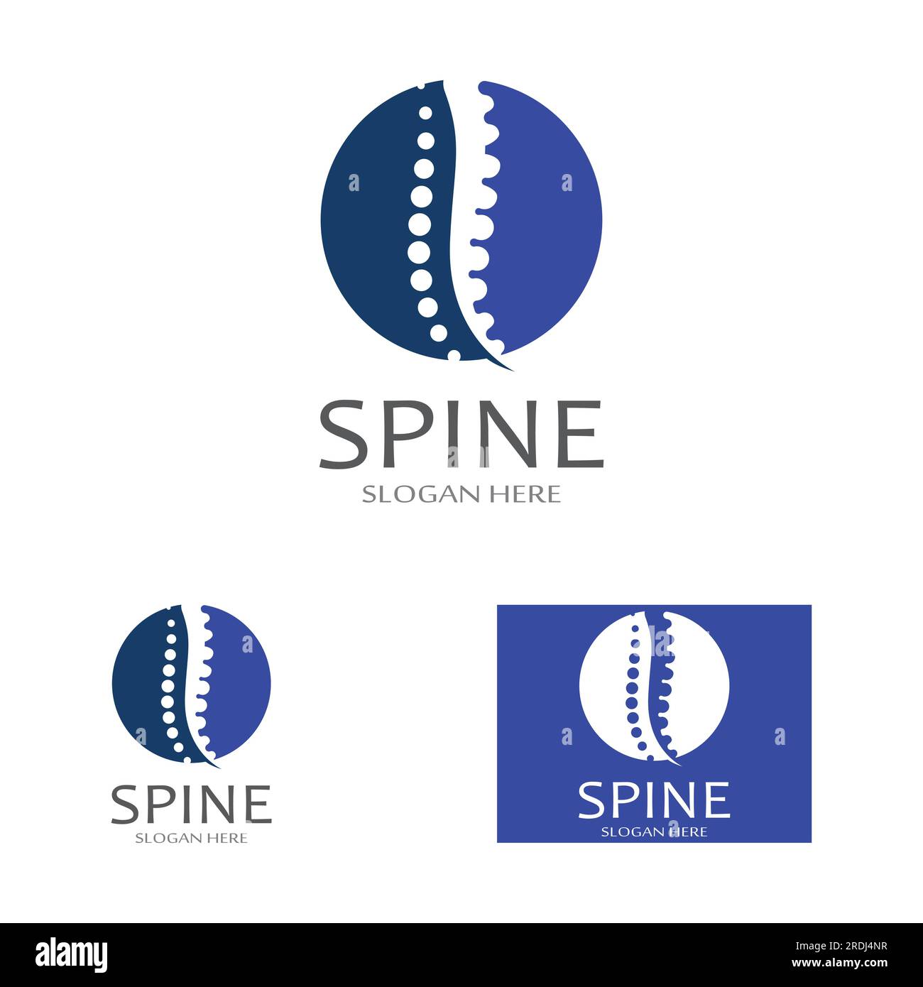 Spinal diagnostics, spine care and spine health.With modern vector icon ...