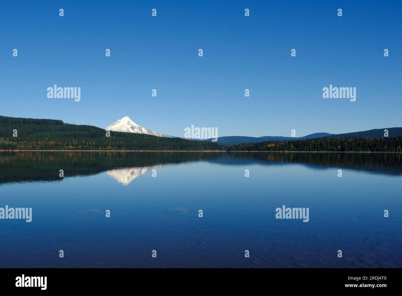 Timothy lake hi-res stock photography and images - Alamy