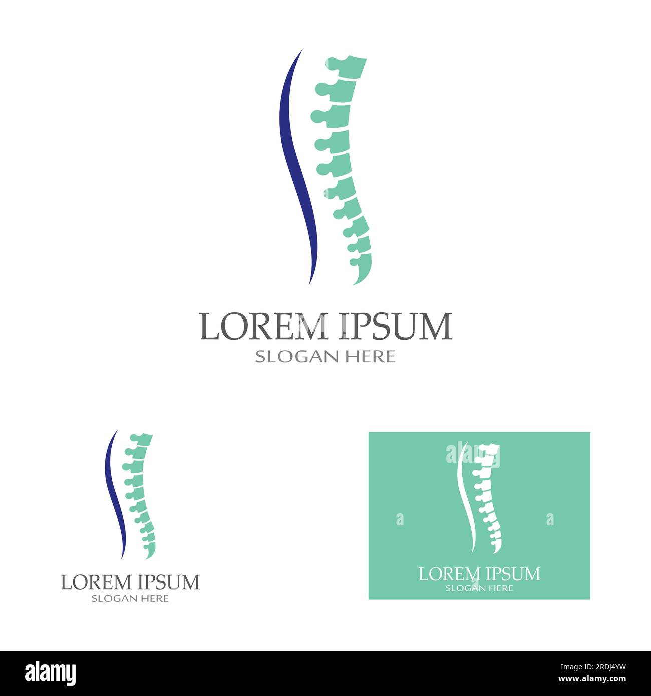 Spinal diagnostics, spine care and spine health.With modern vector icon ...