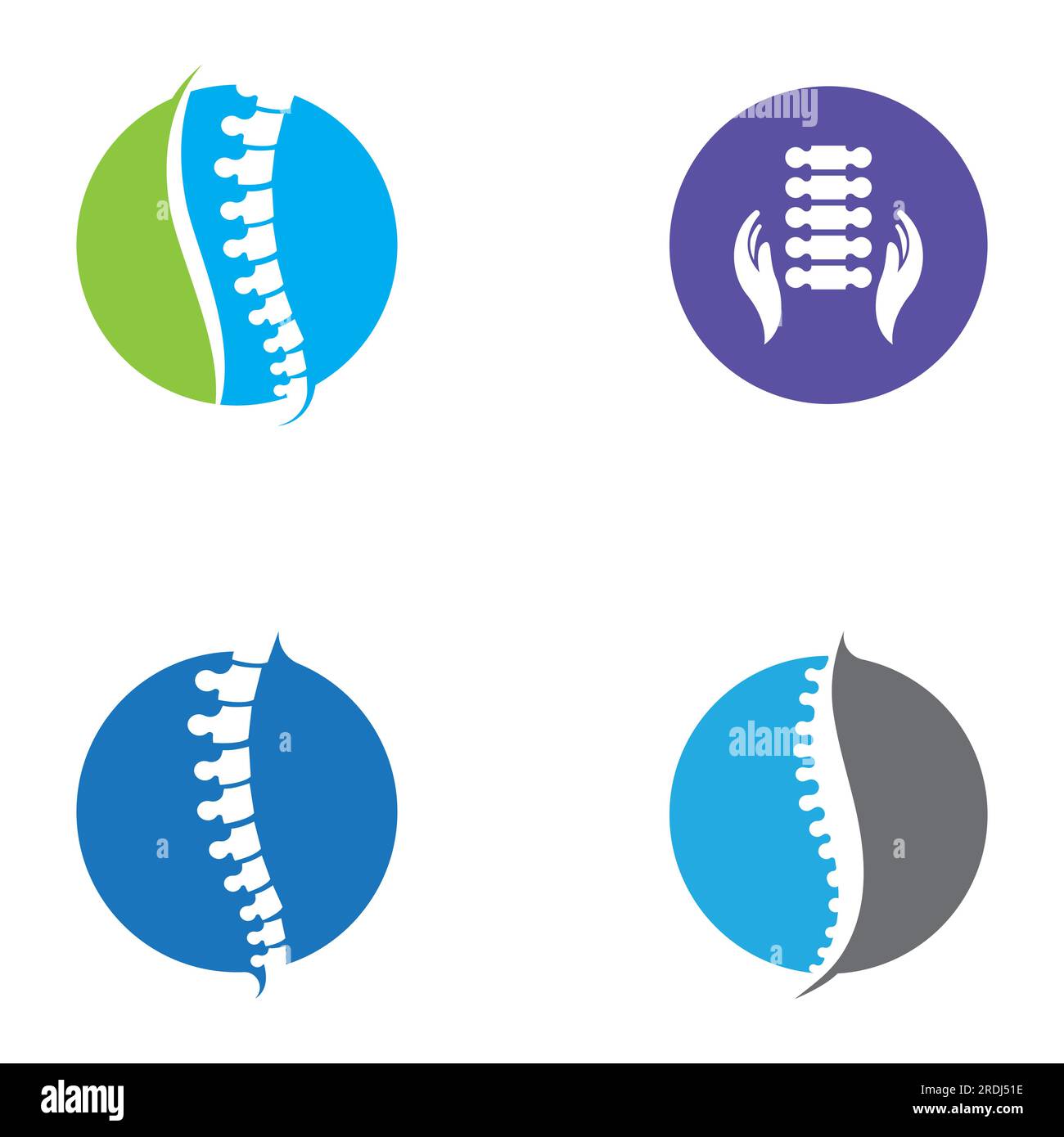 Spinal diagnostics, spine care and spine health.With modern vector icon ...