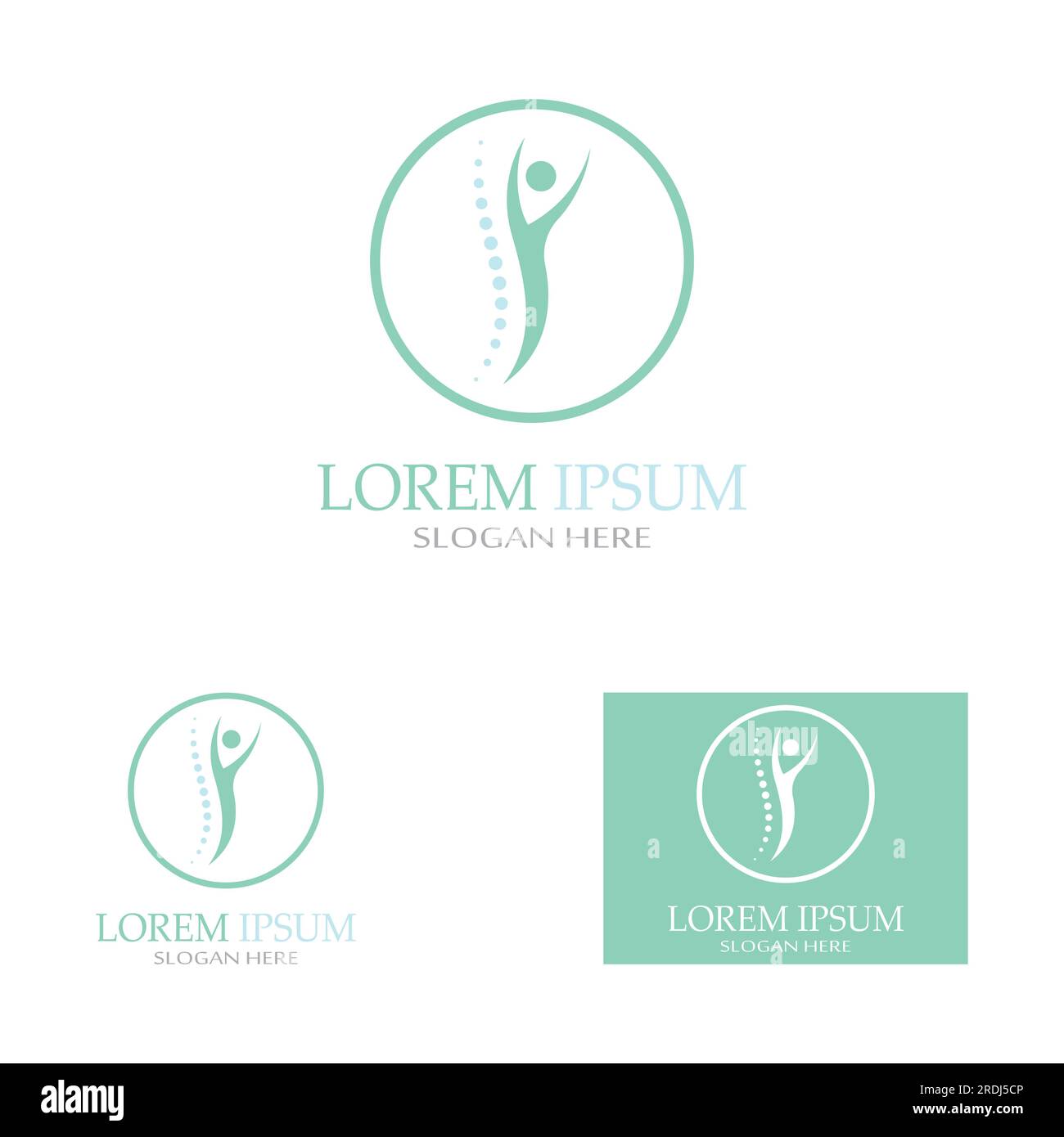 Spinal diagnostics, spine care and spine health.With modern vector icon ...