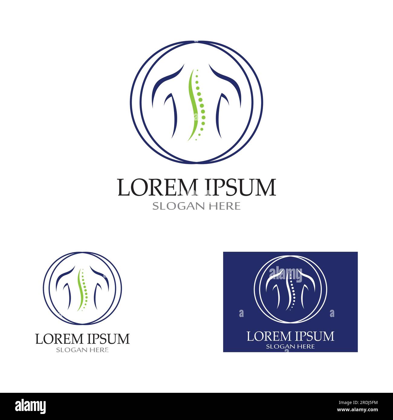 Spinal diagnostics, spine care and spine health.With modern vector icon ...