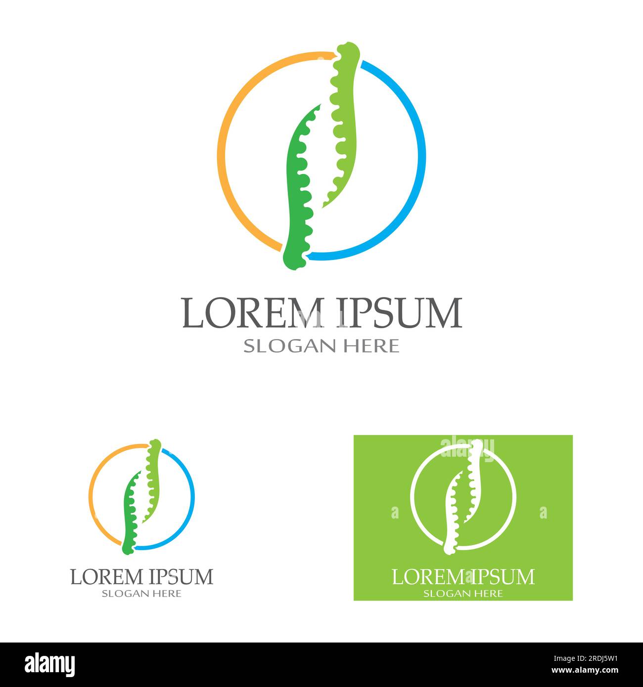 Spinal diagnostics, spine care and spine health.With modern vector icon ...