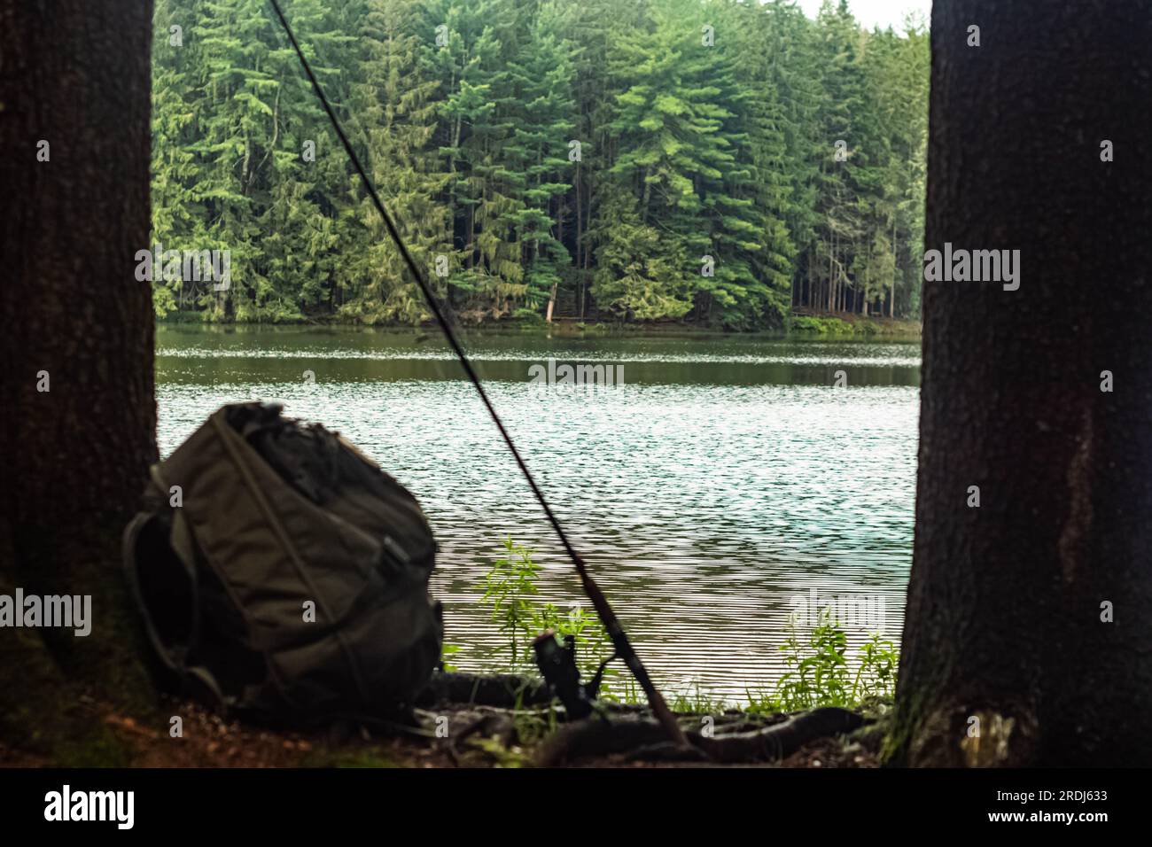 Fishing day fun leisure activity, fishing rod and equipment, outdoors ...