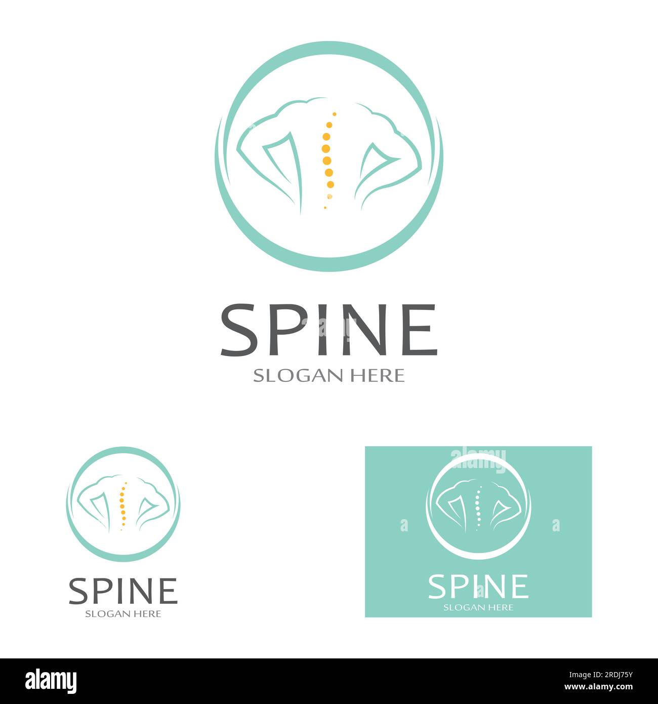 Spinal diagnostics, spine care and spine health.With modern vector icon ...