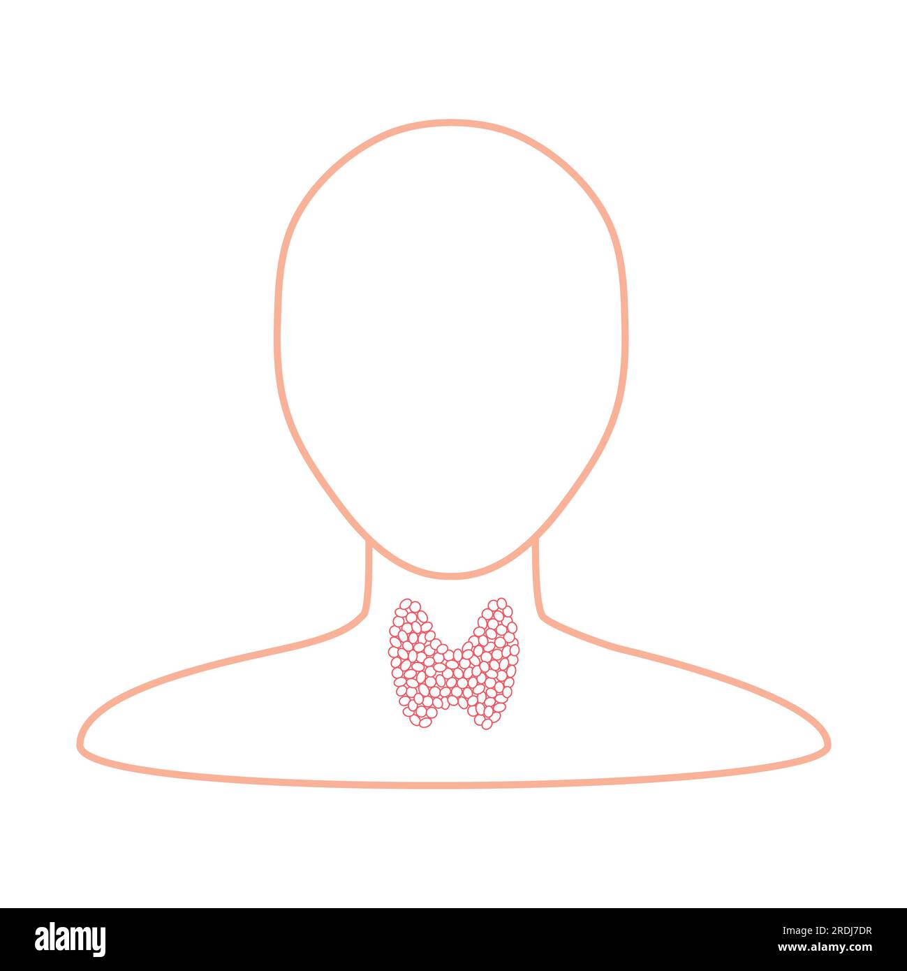 Thyroid Gland Illustration Stock Photo Alamy